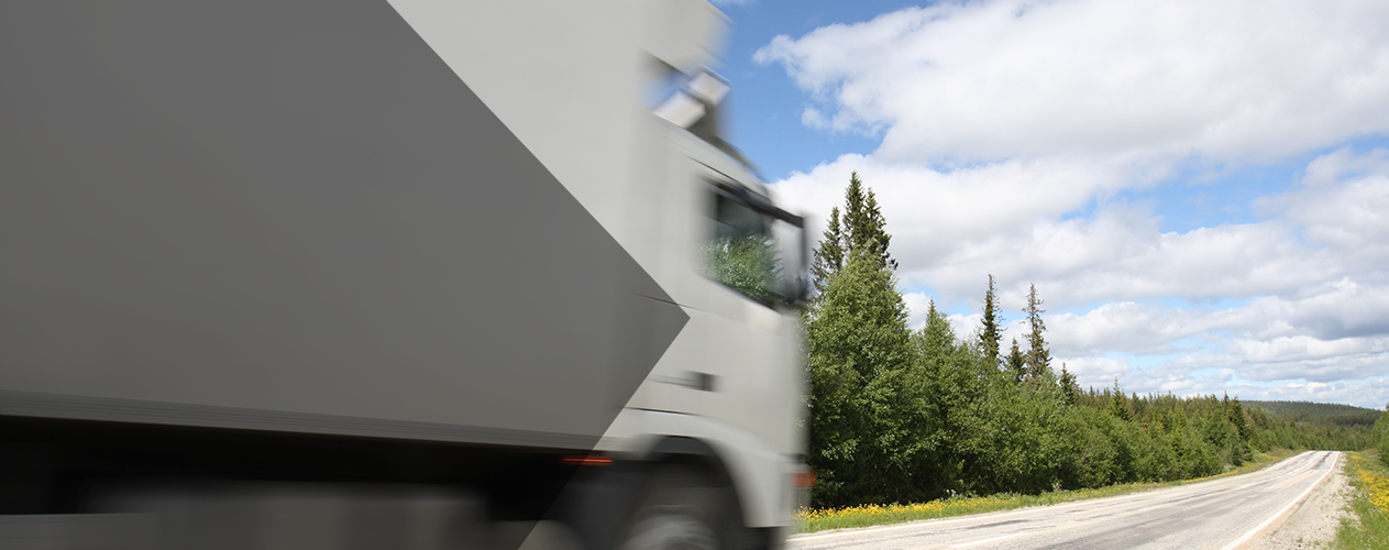 Government Transport Infrastructure | Siecap