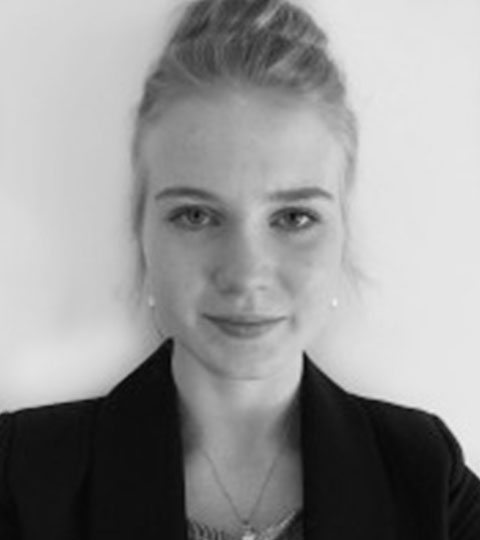 About Us | Siecap | Project Management Consultants and Advisory