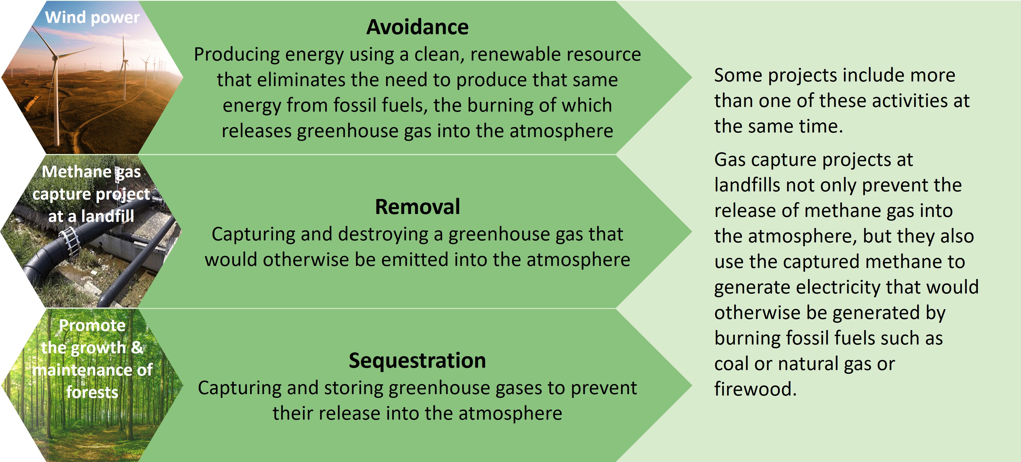 carbon credits | Siecap