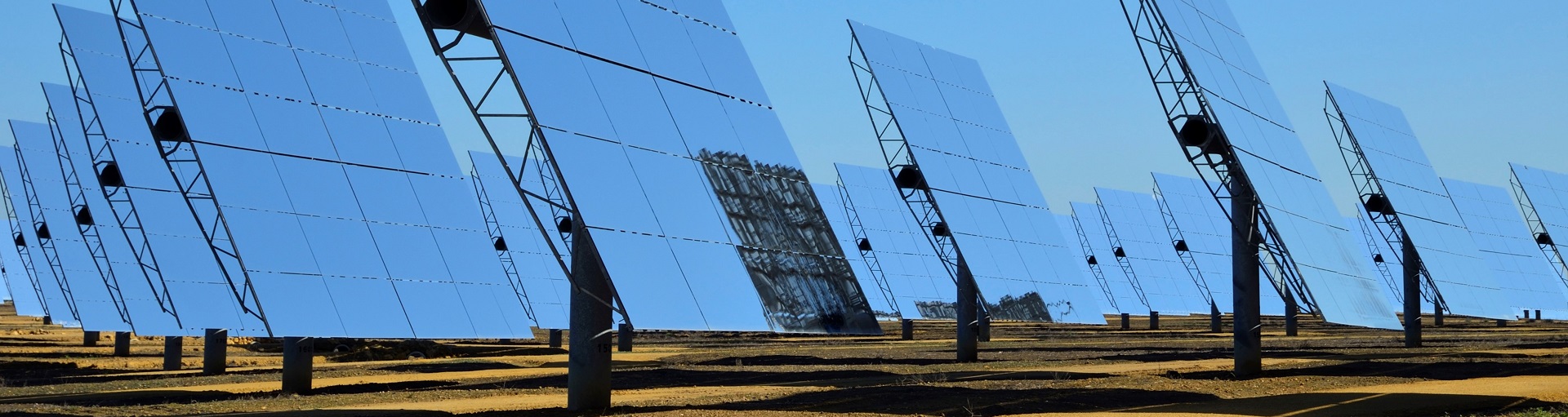 Siecap | Project Management Consultants and Advisory